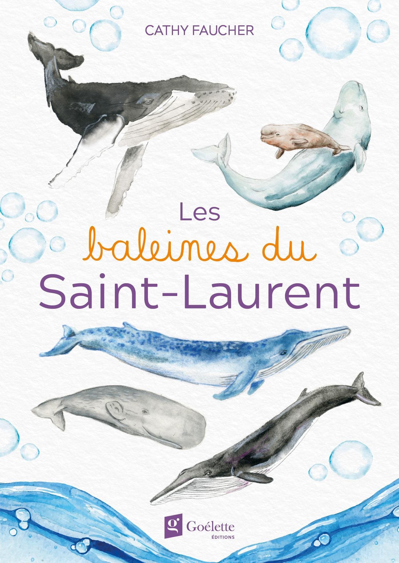 Les baleines du Saint-Laurent - Goélette